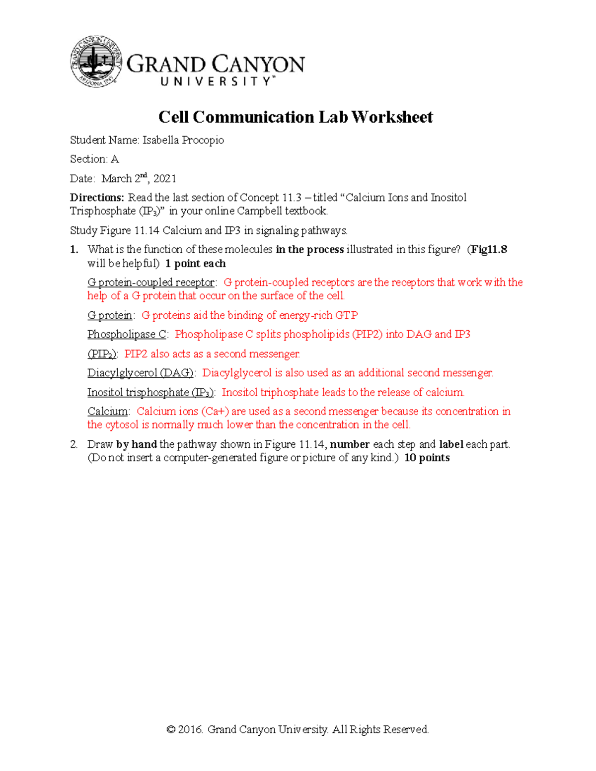 IProcopio, Cell Signaling Lab Worksheet - Cell Communication Lab ...