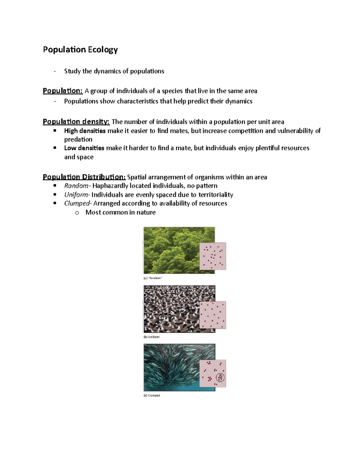 Environmental Science - Population Ecology notes - Population Ecology ...