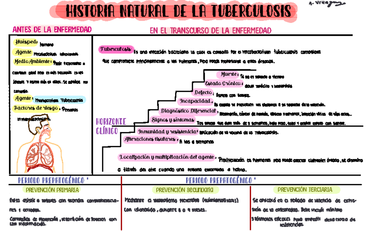 Epidemiología cuadro GAVR - Historia natural de la tuberculosis ANTES ...
