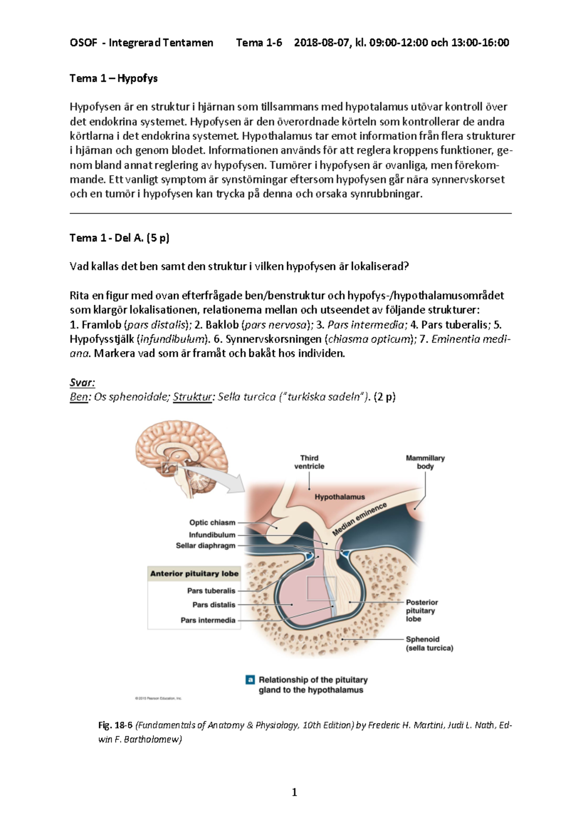 gamla tentor -osof - Warning: TT: undefined function: 32 Tema 1 ...