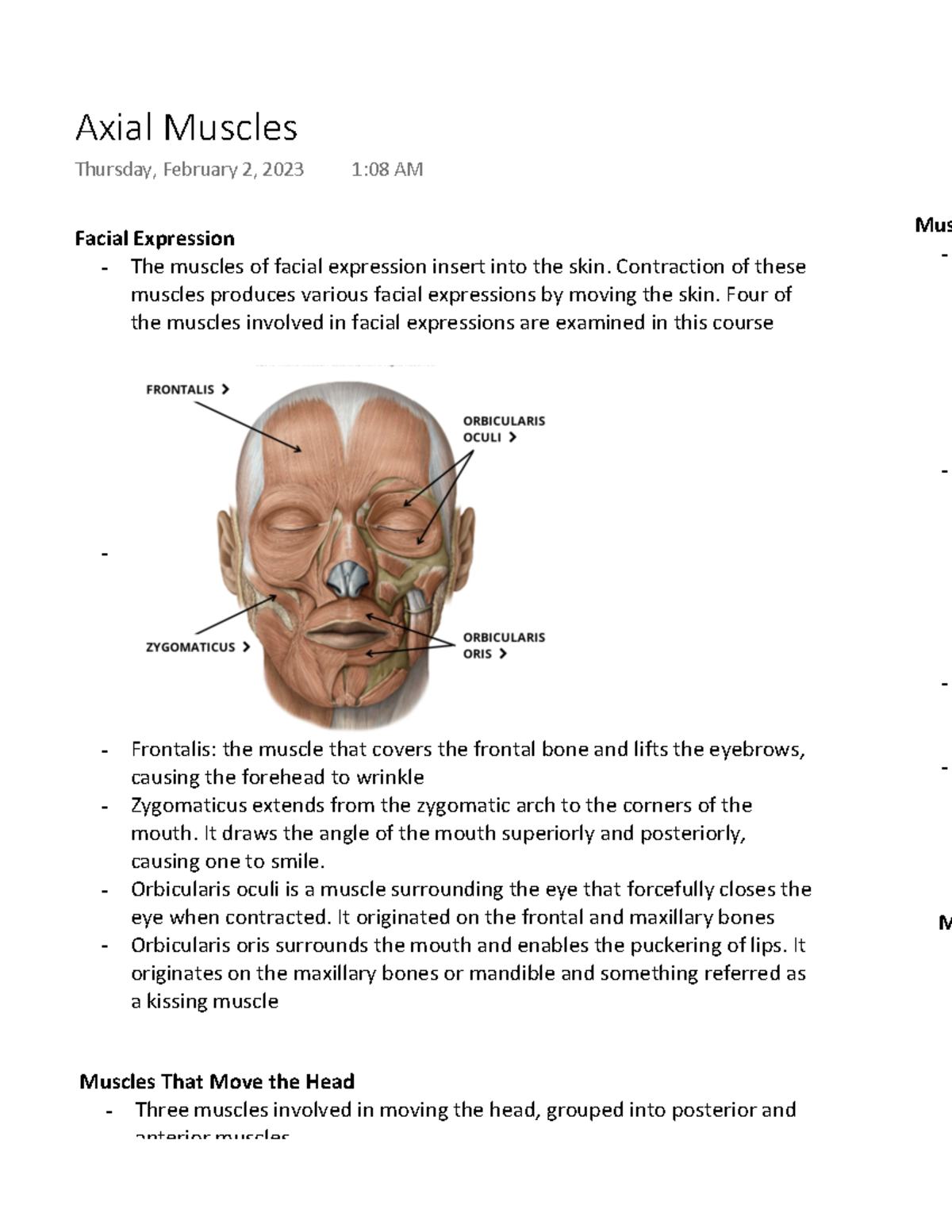 Axial Muscles - notes - Facial Expression The muscles of facial ...