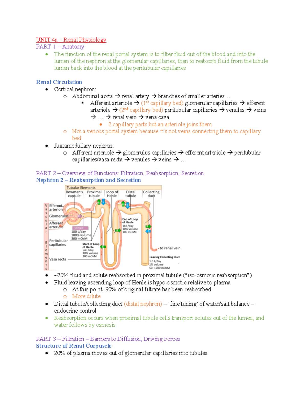 BIOL 373 Term Test 2 Review - UNIT 4a – Renal Physiology PART 1 ...
