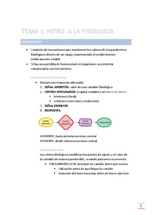 Lección 21. PL Eritrocitos. Leucocitos. Incompleta ADI - Fisiología ...
