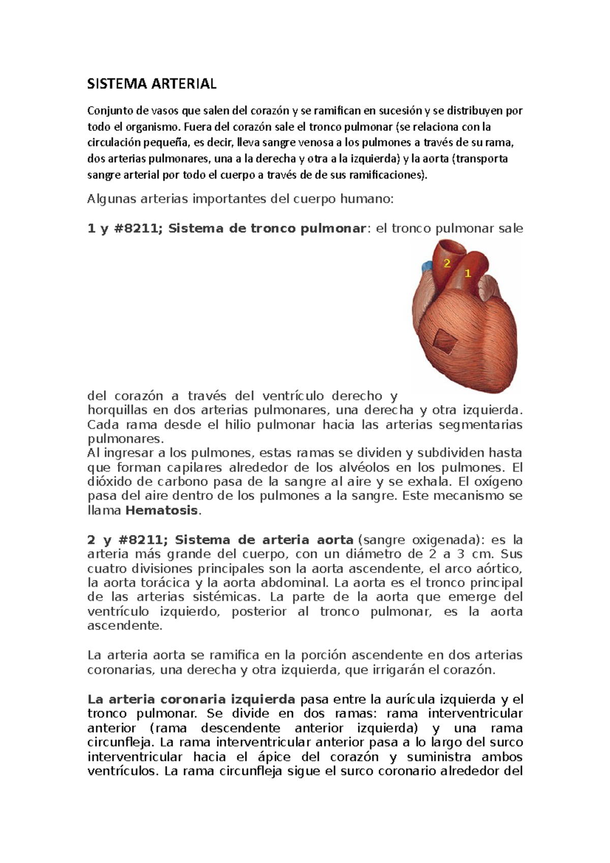 Anatomía Sistema Arterial - SISTEMA ARTERIAL Conjunto de vasos que ...