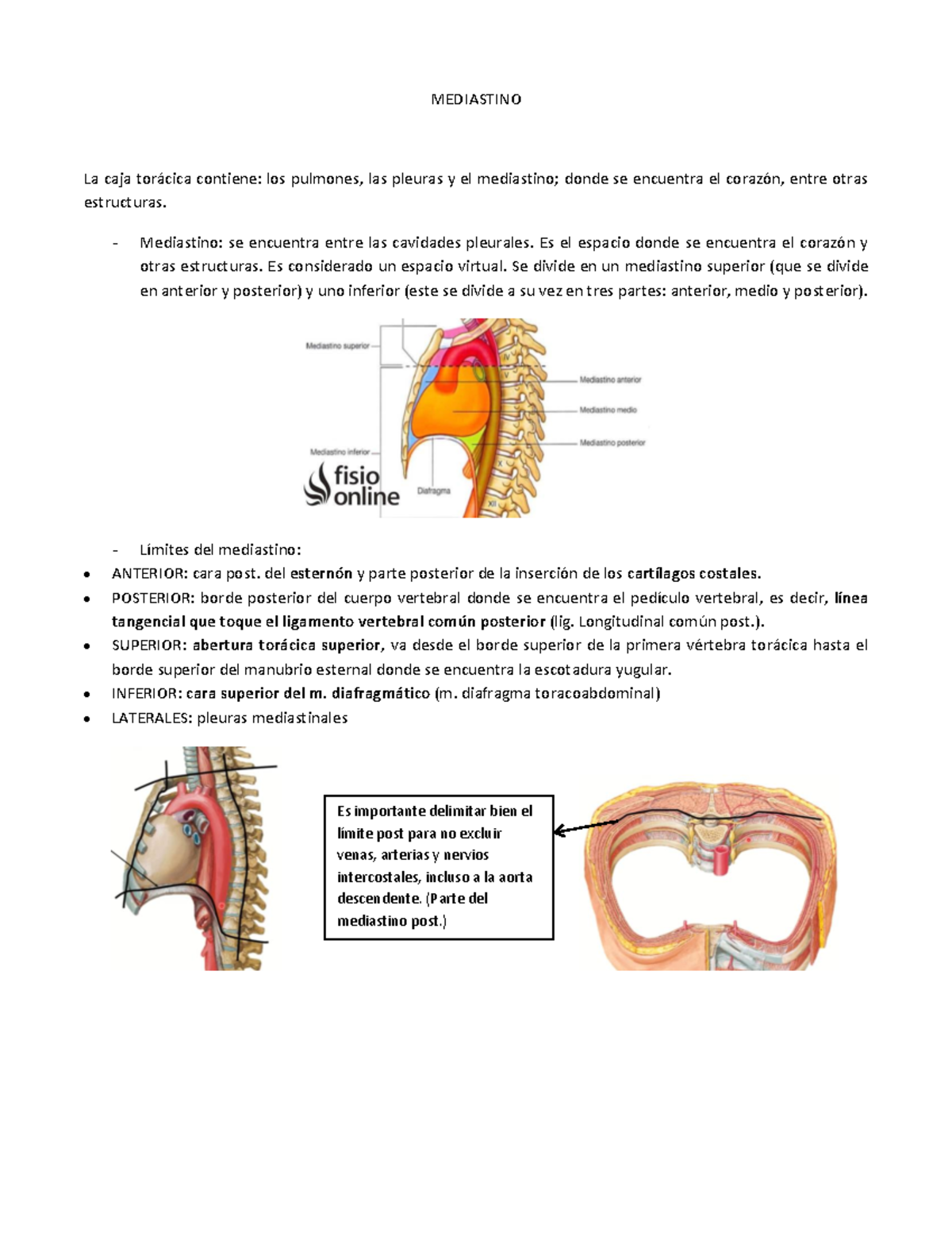 Mediastino - Resumen de temas de Anatomia del libro Latarjet Ruiz ...
