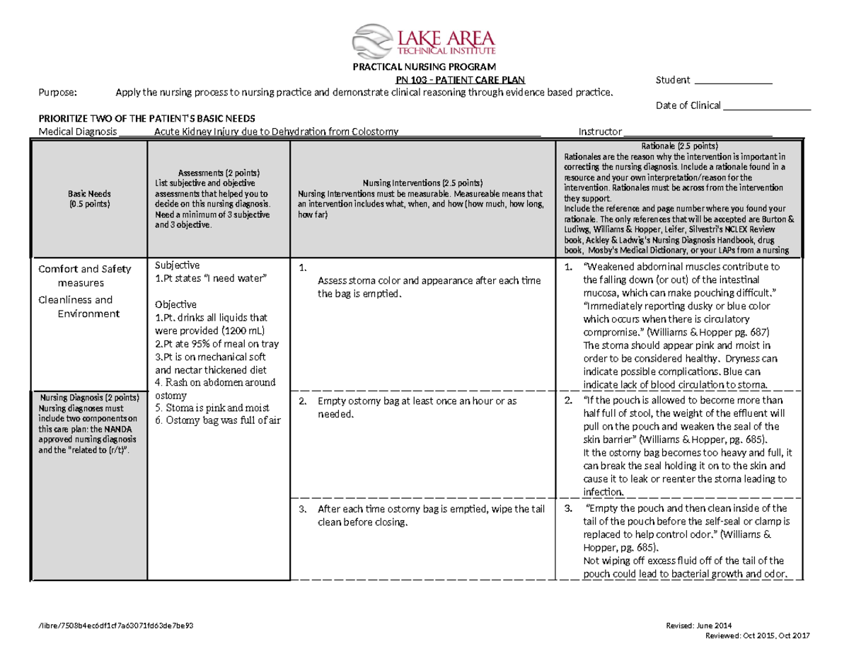 Care Plan Form for Liz- Rebekah Lawrence - PRACTICAL NURSING PROGRAM PN ...