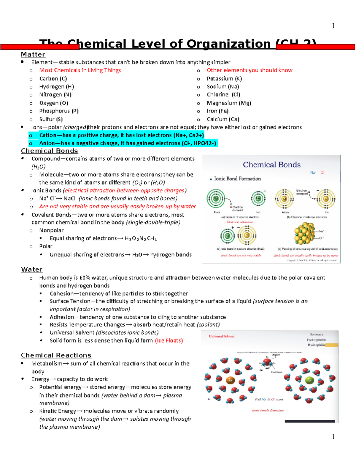Chapter 2 Organization Chemical Level - The Chemical Level of ...