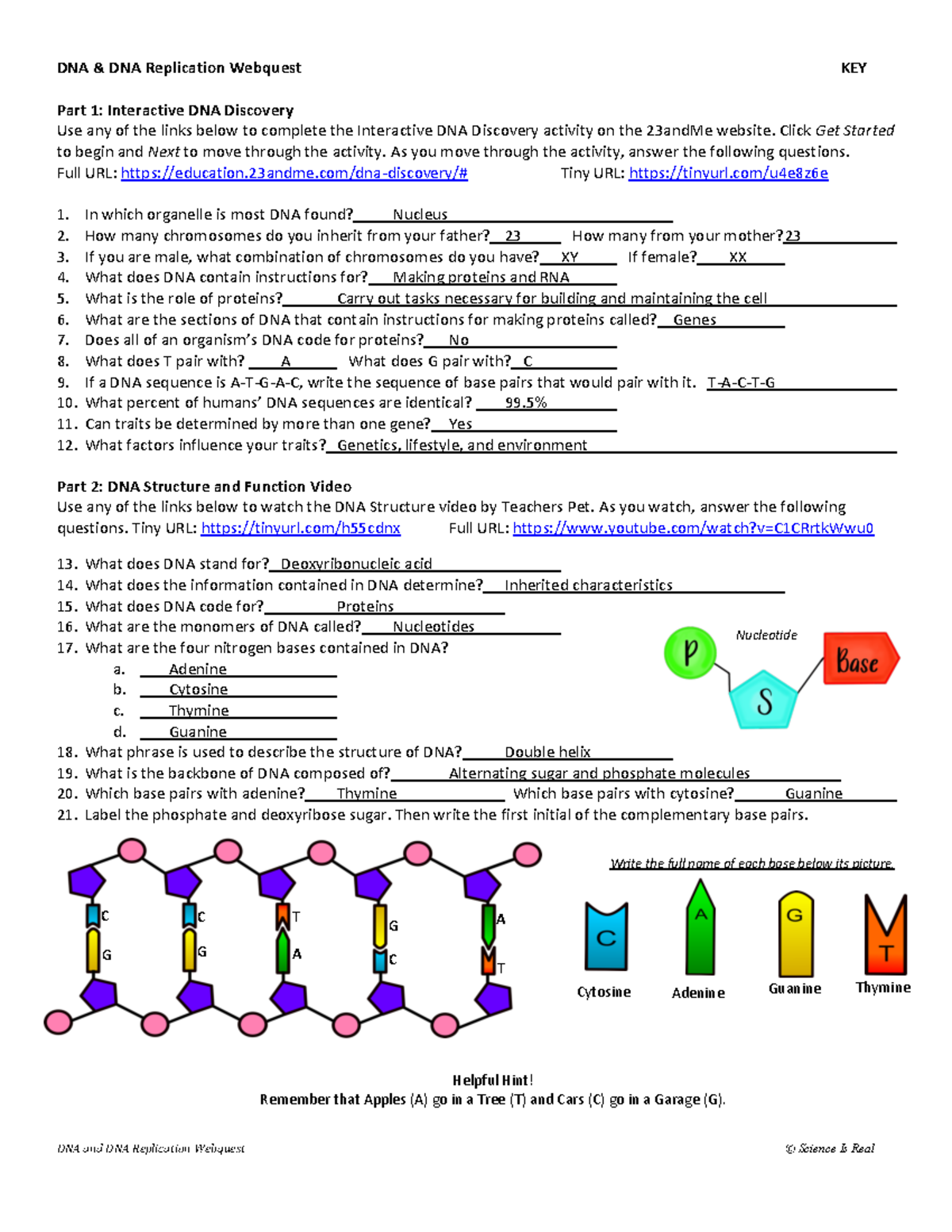 KEY DNA And DNA Replication Webquest Click Get Started To Begin And key-dna-and-dna-replication-webquest-click-get-started-to-begin-and