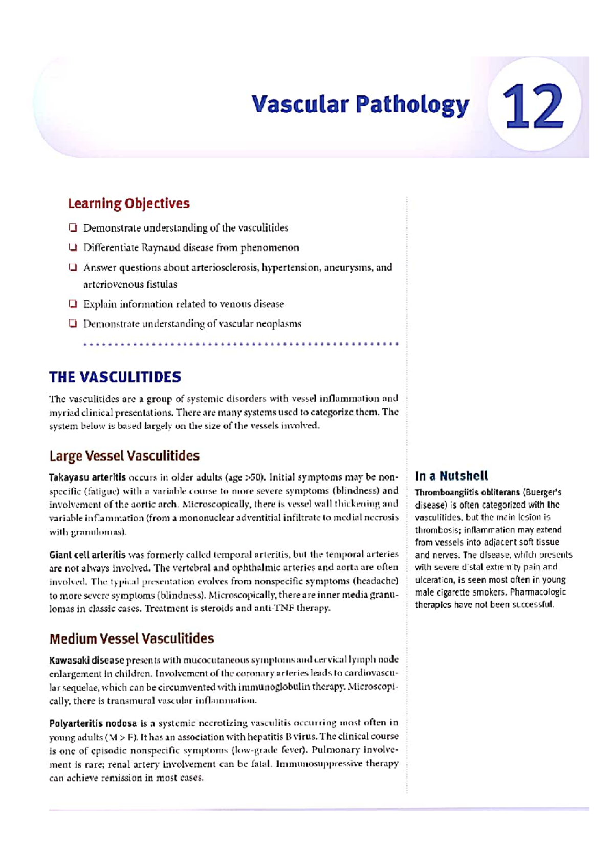 Vascular pathology - Bsc nursing - Studocu