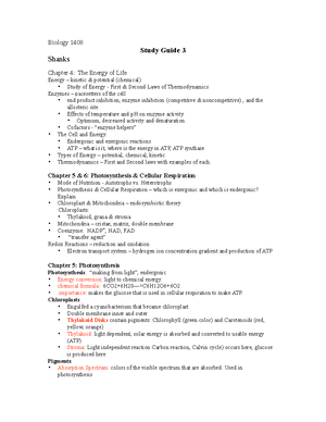 Lab 13 DNA and RNA - Answers - Experiment 1: Coding Post-Lab Questions ...