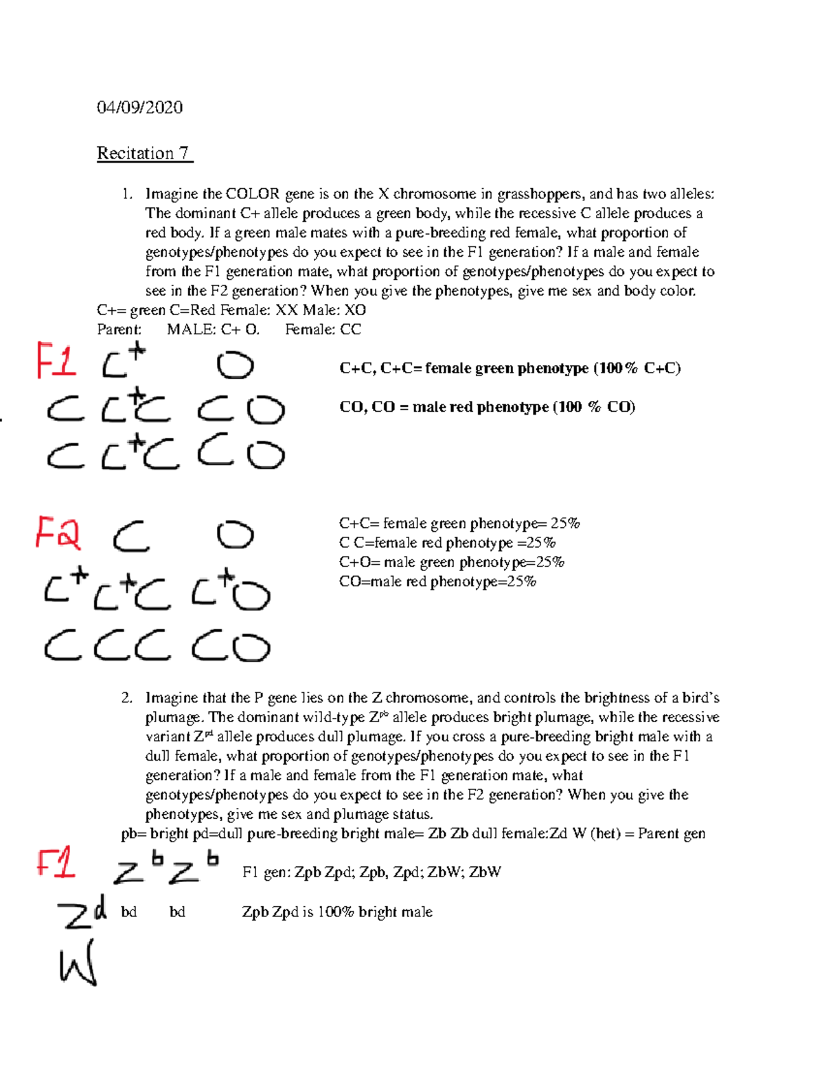 Recitation 7 Sex Linked Genotype Phenotype 04 09 Recitation 7 Imagine The Color Gene Is On