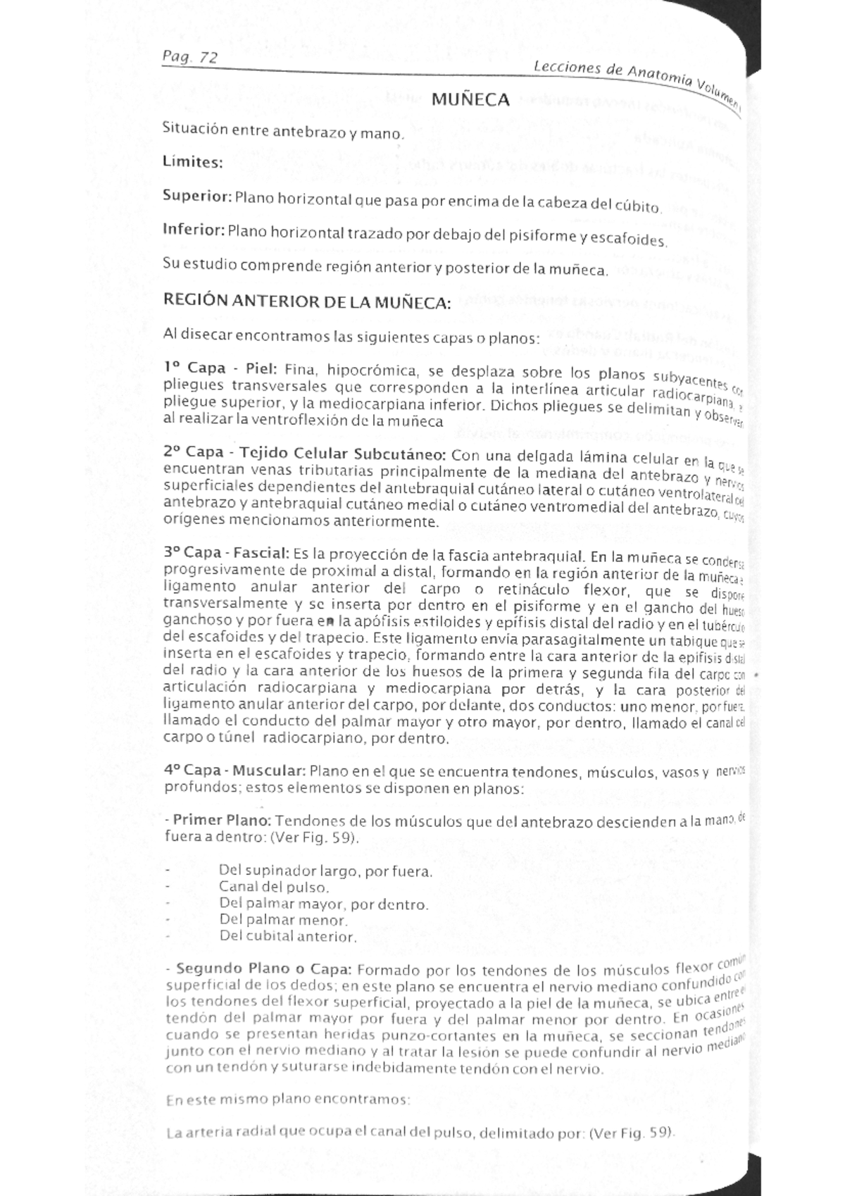 Muñeca - DFSAD - Salud publica - StuDocu