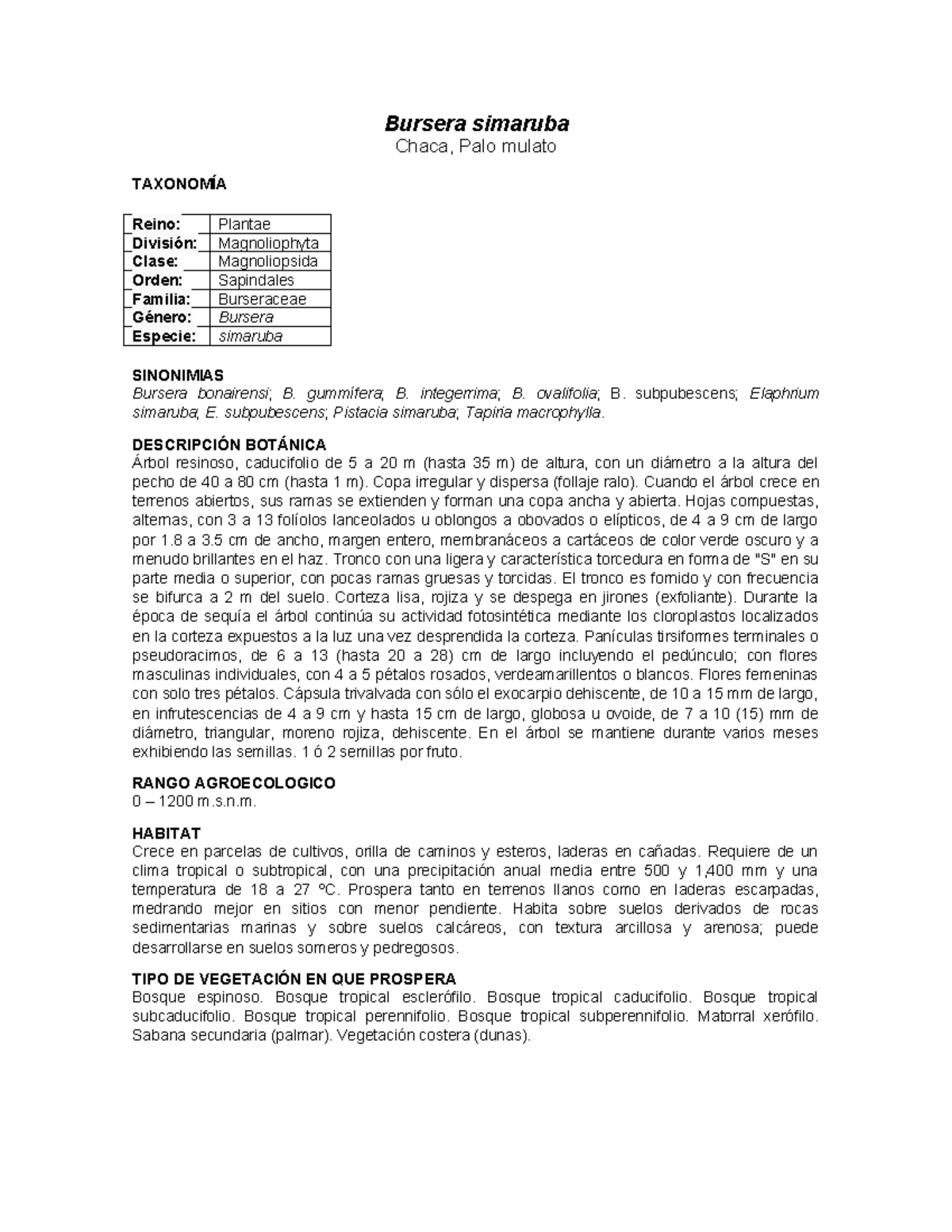 13 Bursera simaruba PALO Mulato - Bursera simaruba Chaca, Palo mulato ...