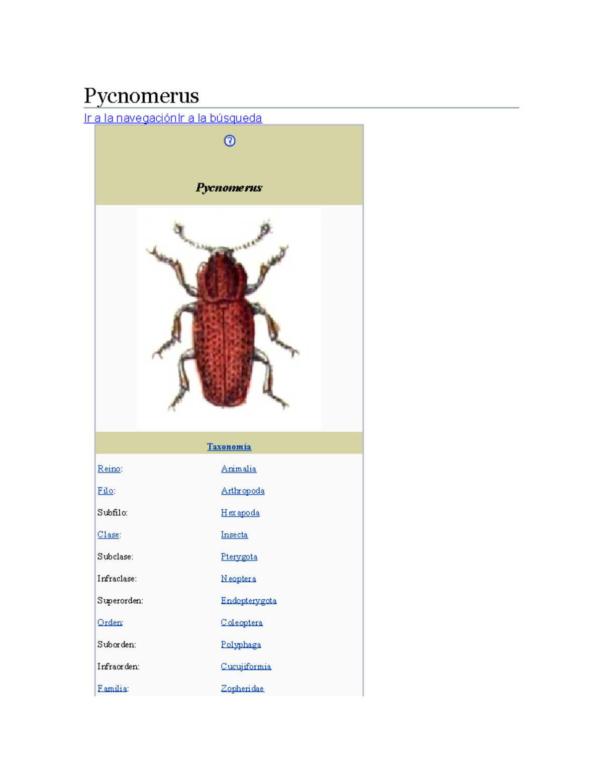 Pycnomerus - Pycnomerus Ir a la navegación Ir a la búsqueda Pycnomerus ...
