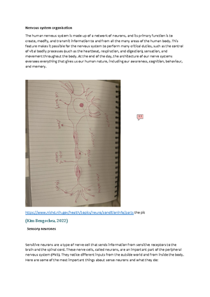 GCSE Biology Revision Notes - B2 - Organisation - Aug 2019 - Topic 2 ...