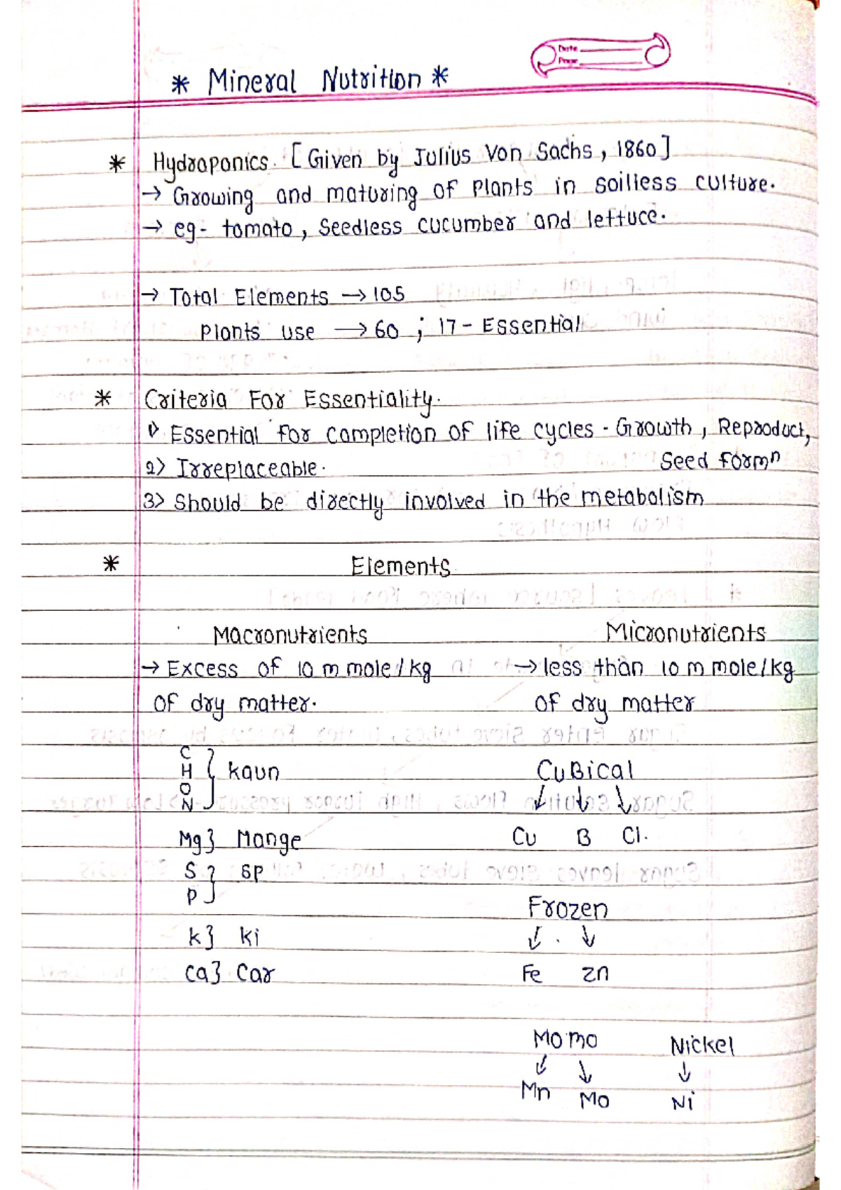 Mineral nutrition - Biology - Studocu