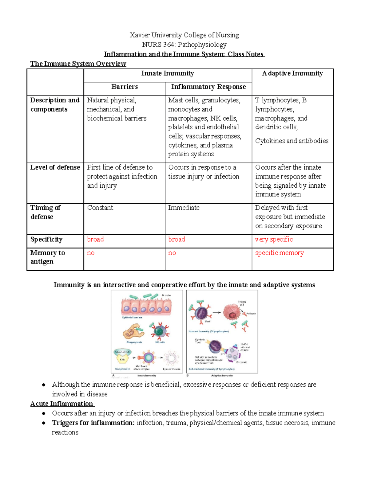 Inflammation and the Immune System (C4) - Xavier University College of ...