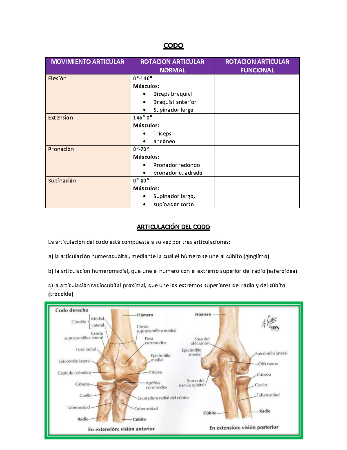 CODO V - codo - CODO MOVIMIENTO ARTICULAR ROTACION ARTICULAR NORMAL ROTACION ARTICULAR FUNCIONAL ...