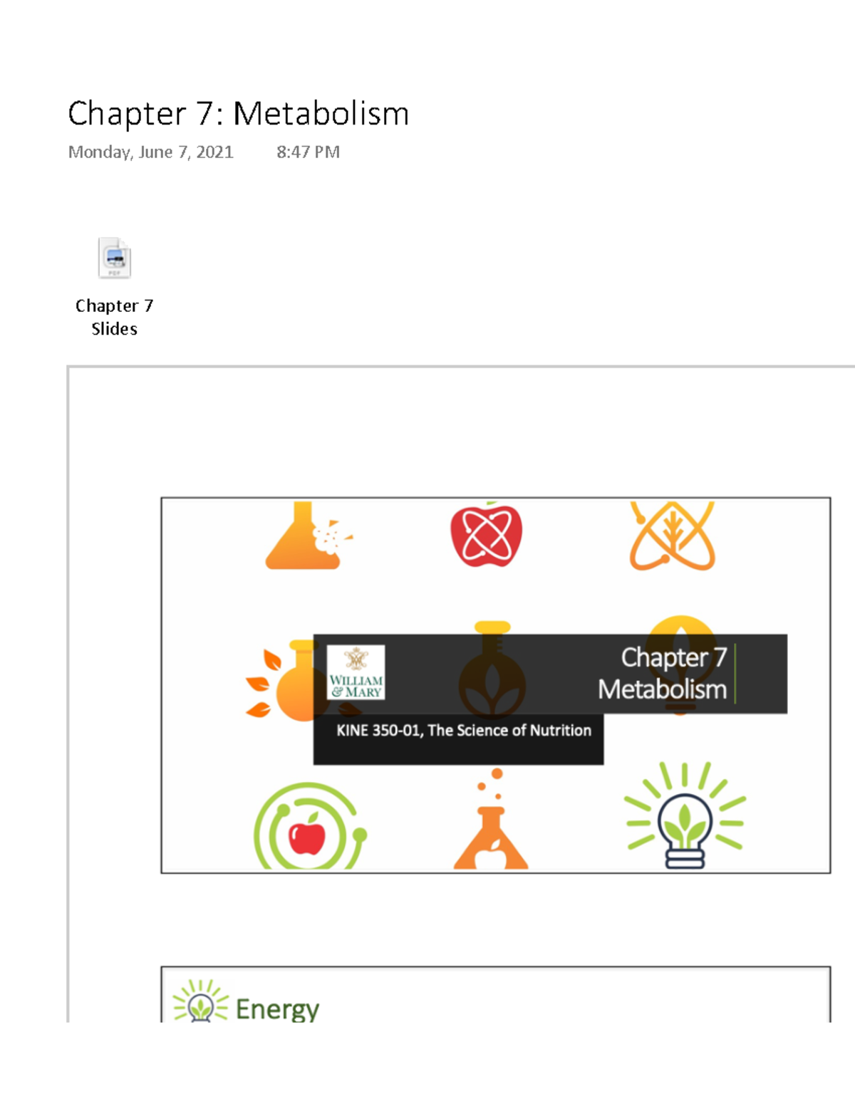 Chapter 7 Metabolism - Chapter 7 Slides Chapter 7: Metabolism Monday ...