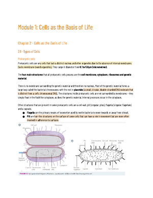 M1 Cells AS THE Basis OF LIFE Y11 BIO revision - YEAR 11 BIOLOGY ...
