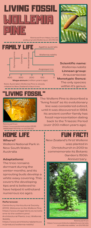 Mystery Bones Assignment Biosci 109 - BIOSCI109 Mystery Bones Report ...