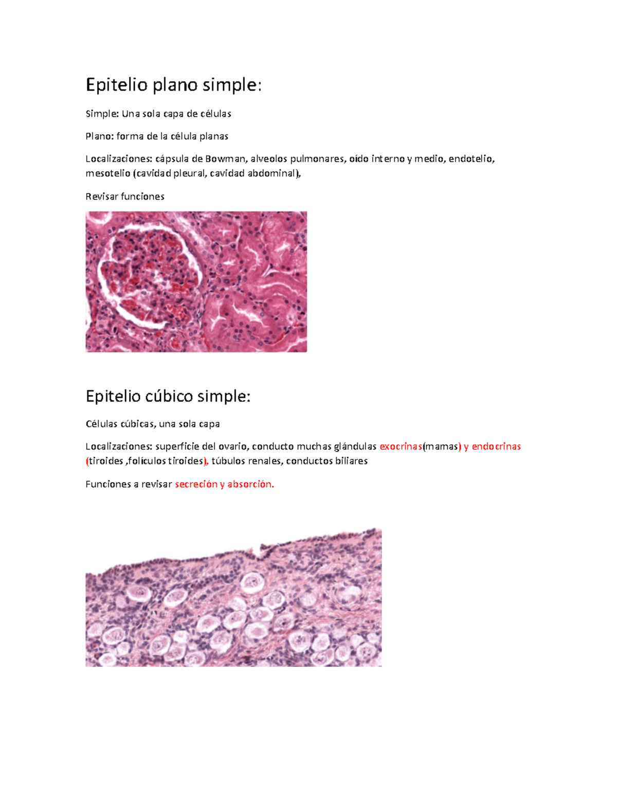 Resumen láminas epitelios - Warning: TT: undefined function: 32 ...