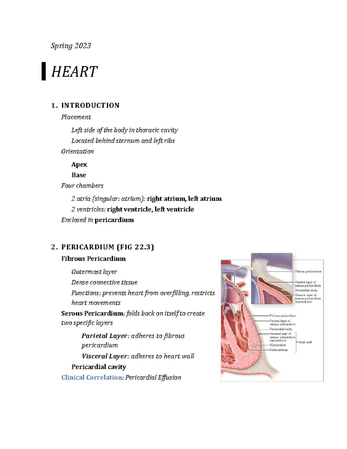 Heart notes student S2023 - Spring 2023 HEART 1. INTRODUCTION Placement ...
