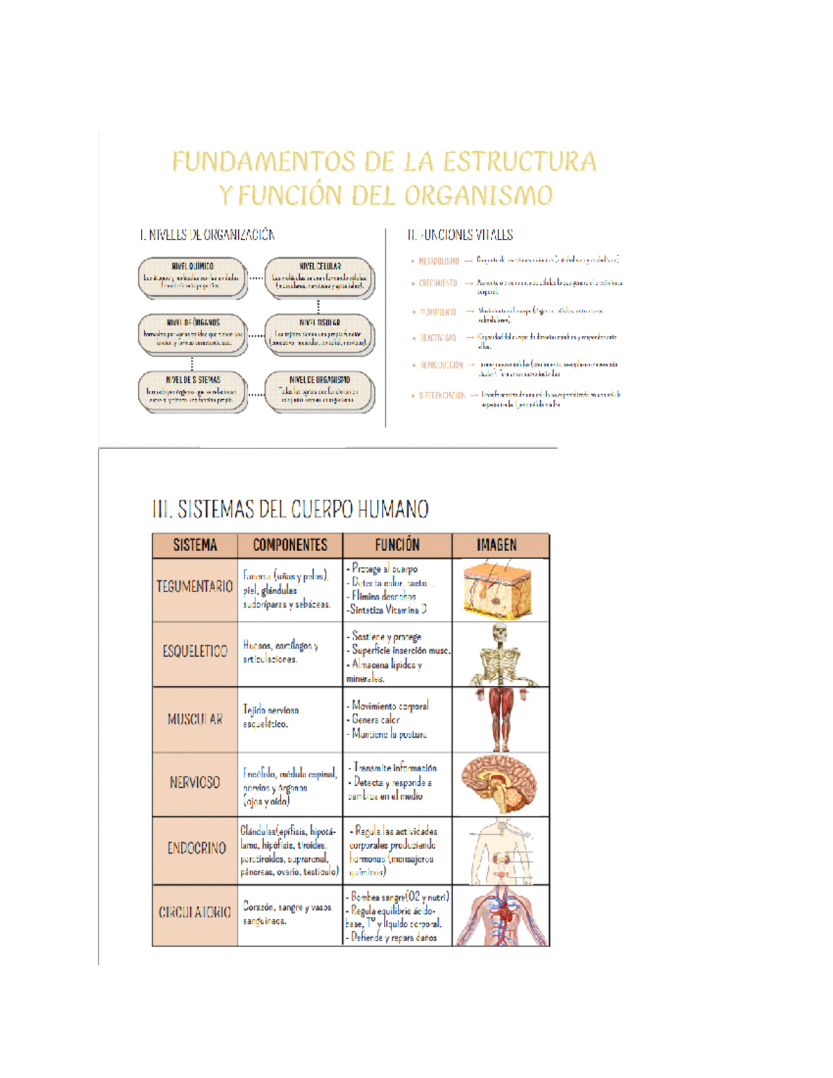 Estructura y función semana 1 - Estructura y Función - Studocu