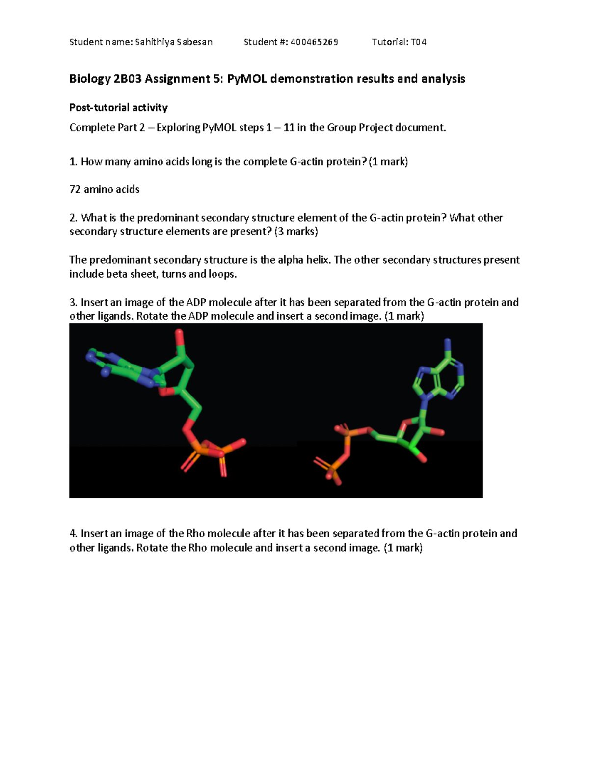 F23 Bio 2B03 Assignment 5 - Py MOL demonstration - Student name ...