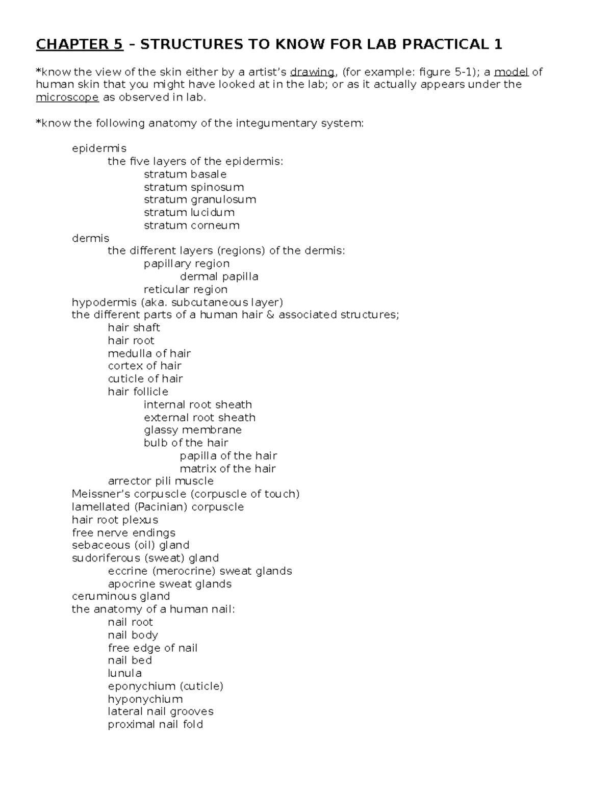 Chapter 5 Anatomy (Practical) List - CHAPTER 5 – STRUCTURES TO KNOW FOR ...