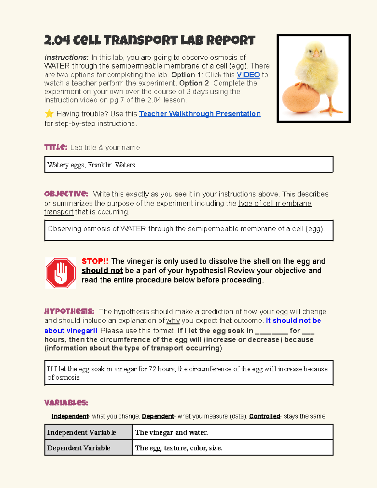 2 04 Lab Report - 2 Cell Transport Lab Report Instructions: In this lab ...