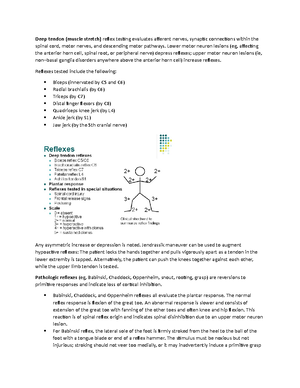 - Unit 2 Med-term Packet (sudent) - Unit 2 MedTerm Assignment (Chap 17 ...