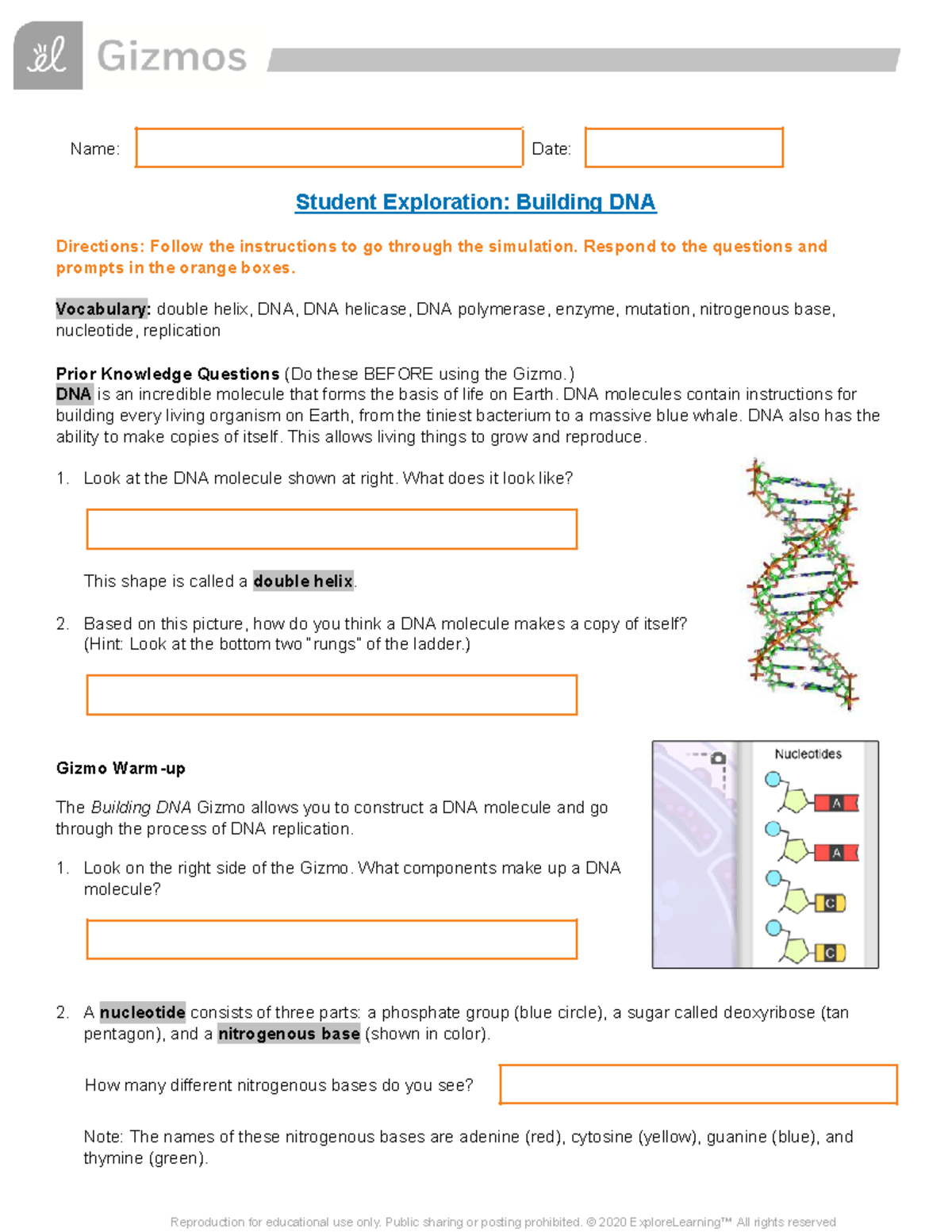 chad - Gizmo Building DNA - 7351940 - Name: Date: Student Exploration ...