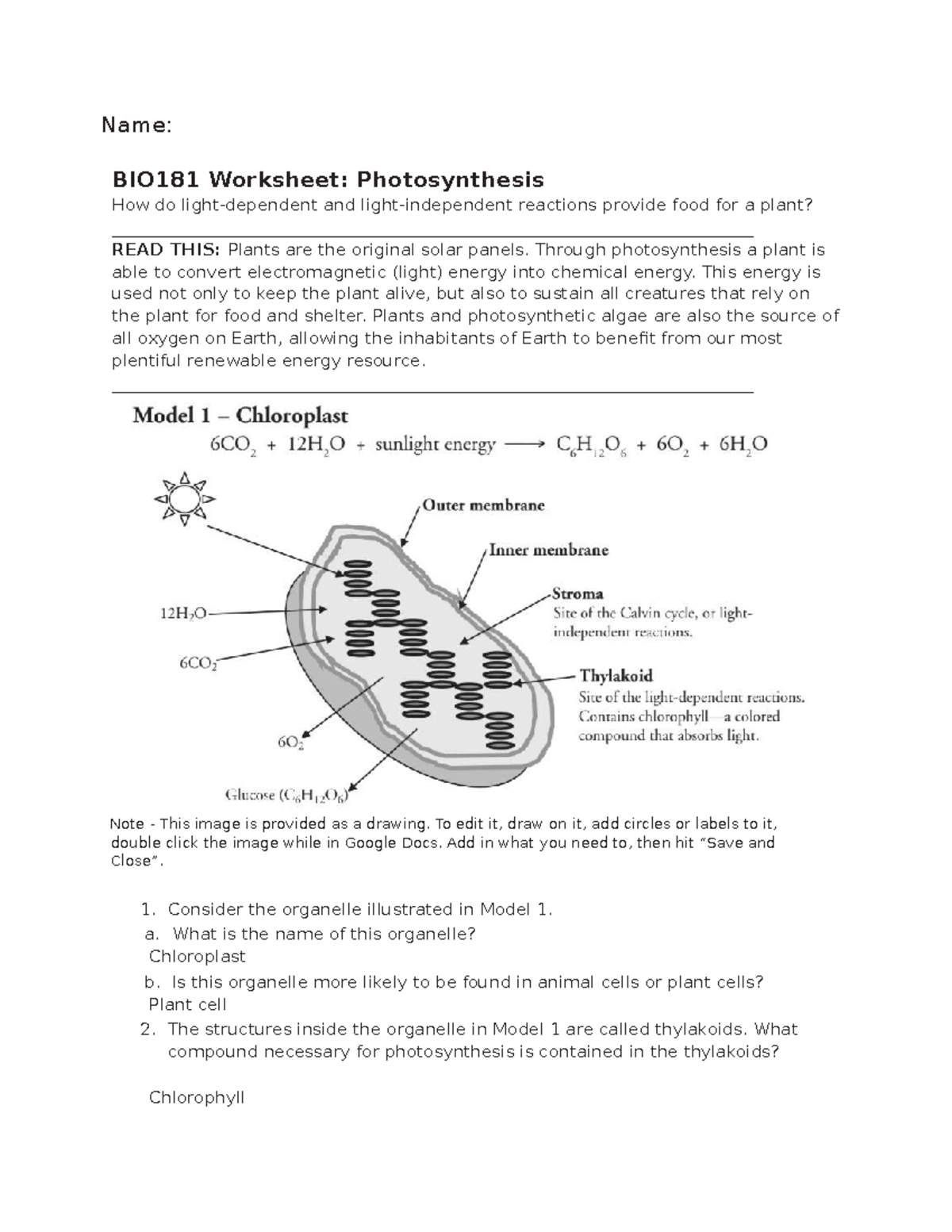 Bio 181 photosynthesis worksheet - Name: BIO181 Worksheet ...