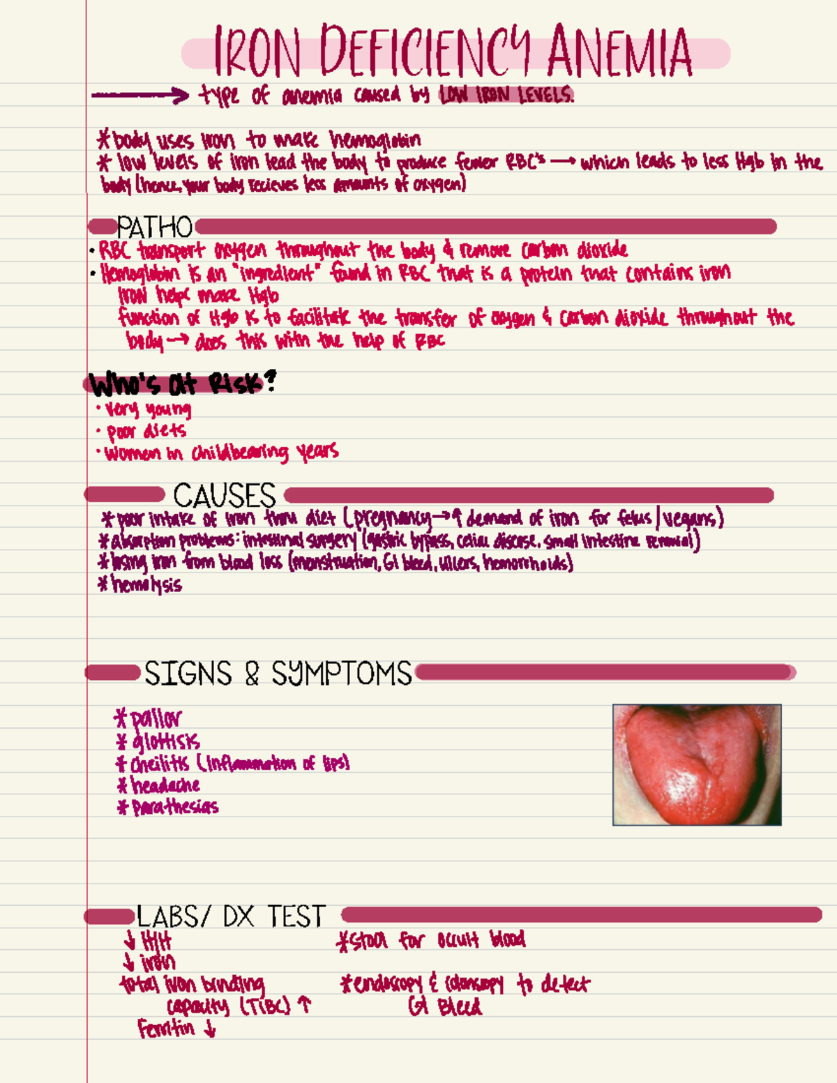 Iron - Description of iron deficiency anemia and body - Iron Deficiency ...