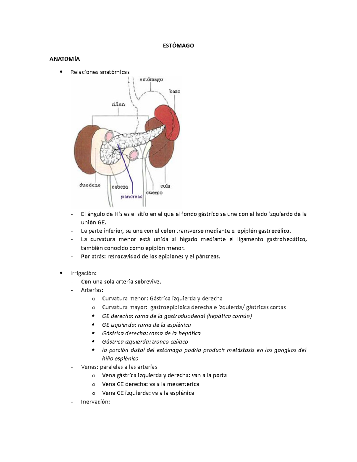 CA Gastrico - ESTÓMAGO ANATOMÍA Relaciones anatómicas El ángulo de His ...