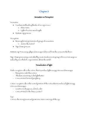 AACN Essentials Summary Paper - AACN ESSENTIALS SUMMARY PAPER 1 AACN ...
