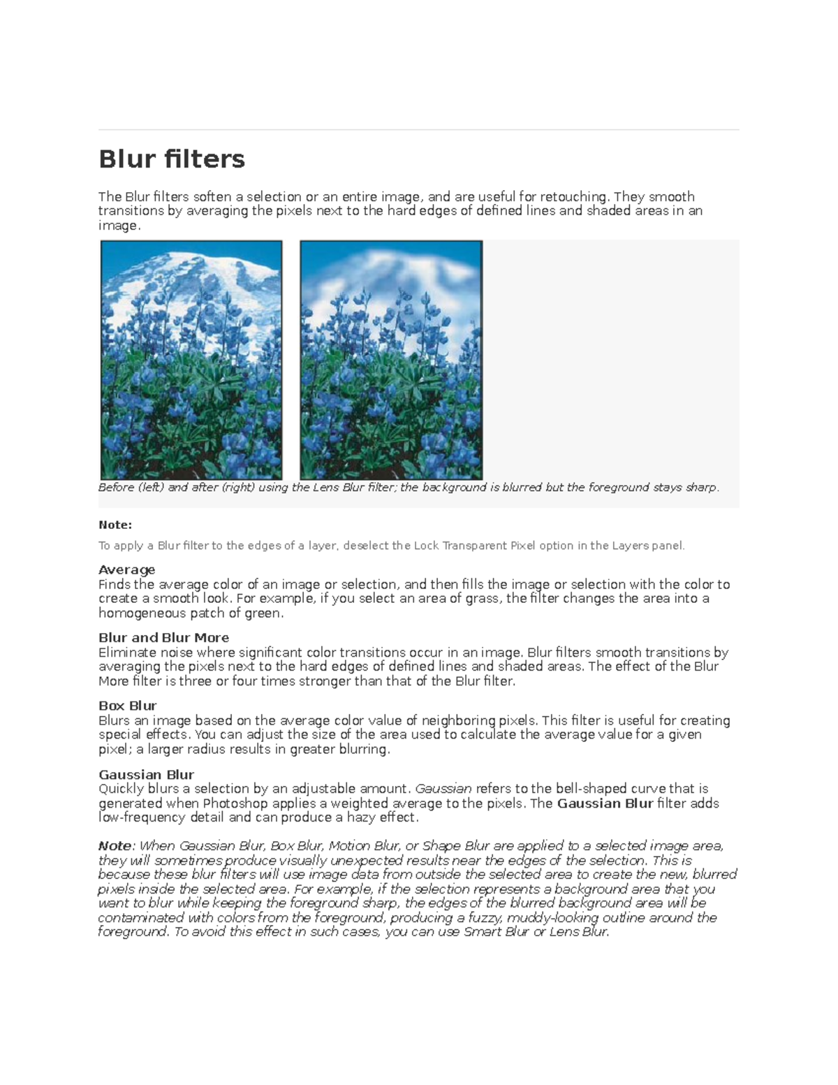 Filters - Blur filters The Blur filters soften a selection or an entire ...