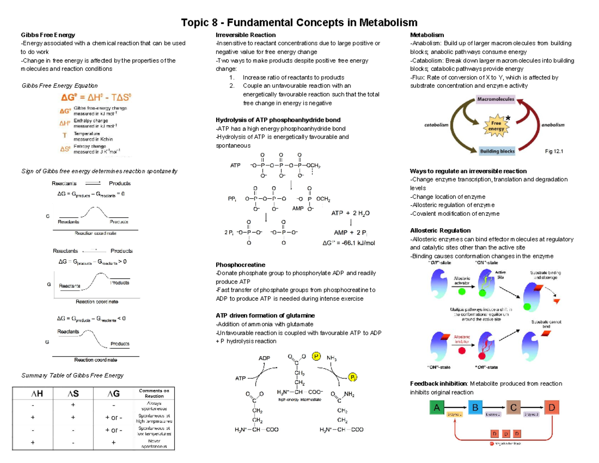Biochem Cheat Sheet 8 - Topic 8 - Fundamental Concepts in Metabolism ...