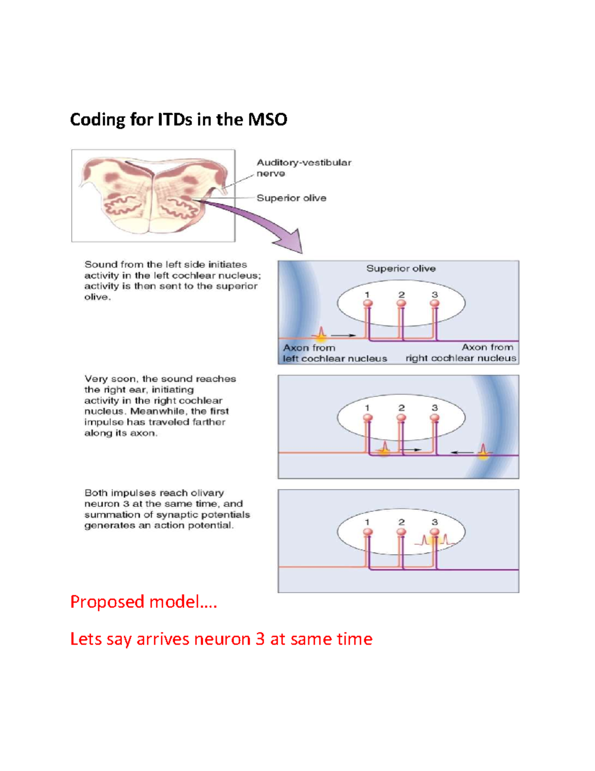 10 - Coding for ITDs in the MSO Proposed model.... Lets say arrives ...