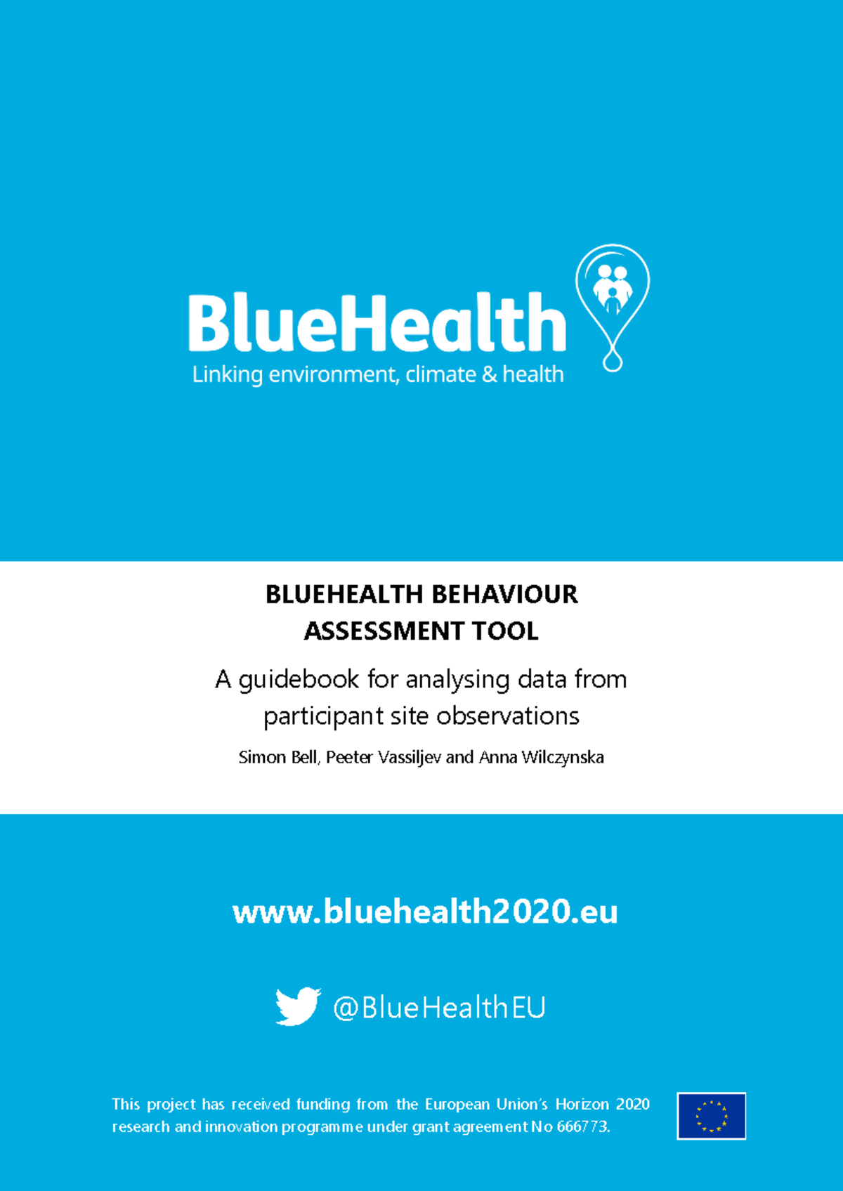 Blue Health Behaviour Assessment Tool analysis guidebook ...