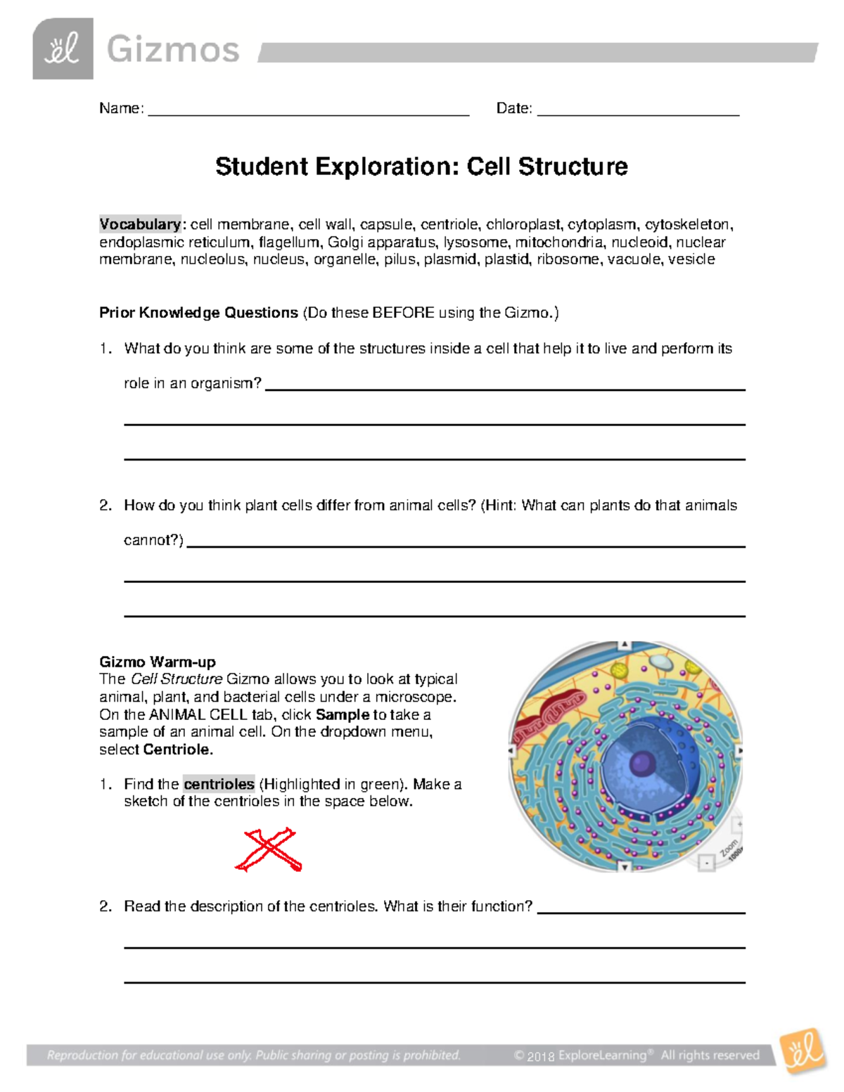 Annotated-Cell Structure SE - Name ...