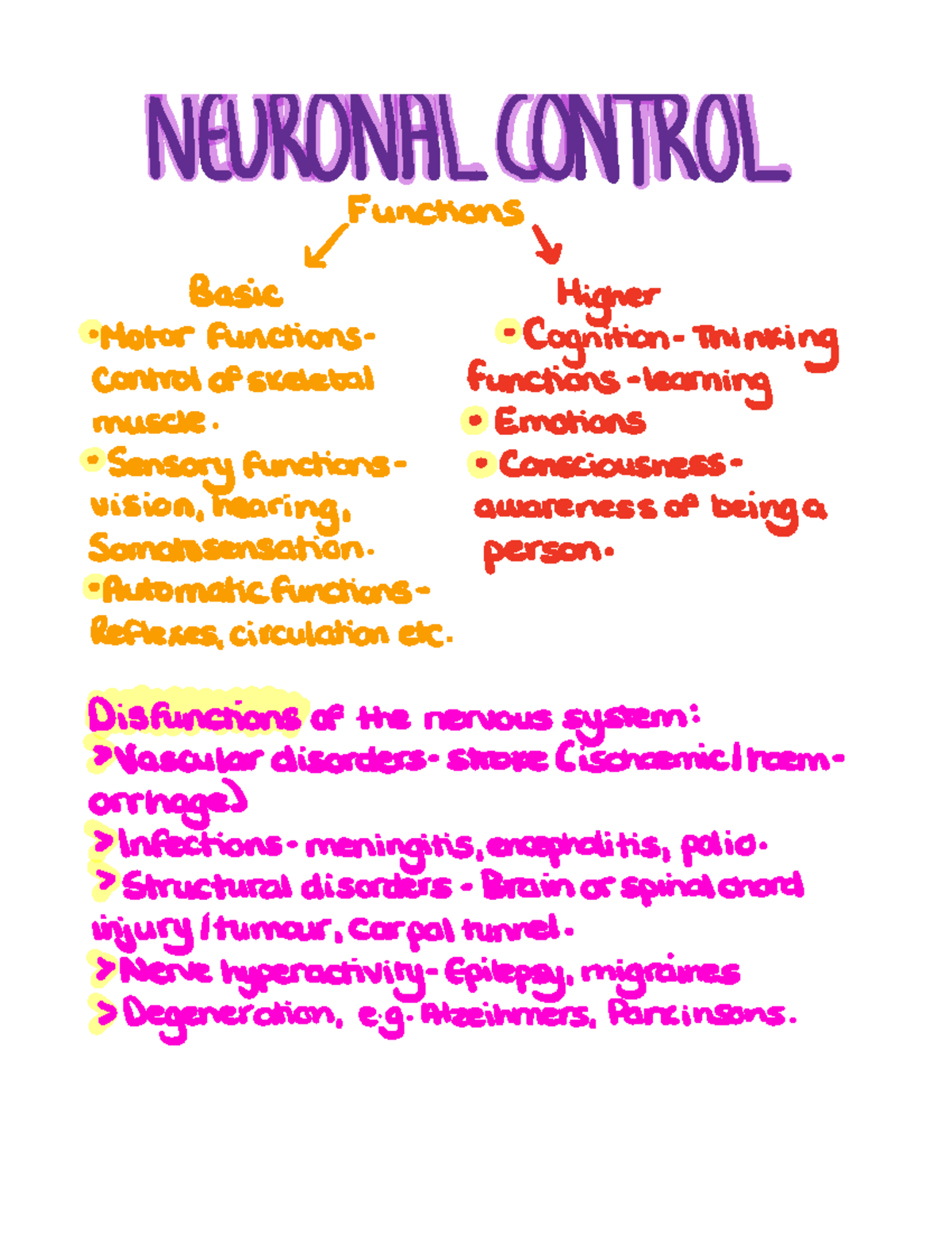 Neuronal control - Physiology - NEURONAL CONTROL Functions 1 ####### I Basic ####### Higher ...