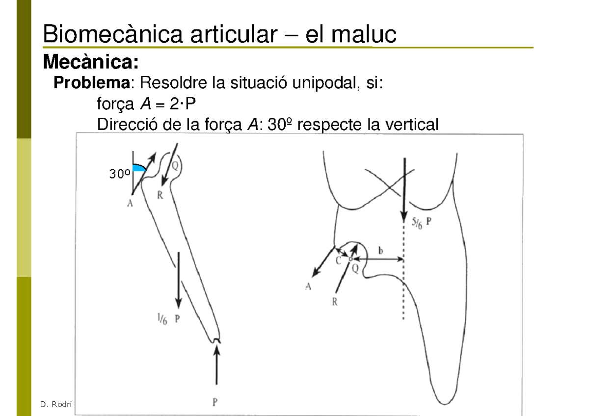 04a-P01s-BMB - Biomecanica articular - Maluc - problema resolt ...