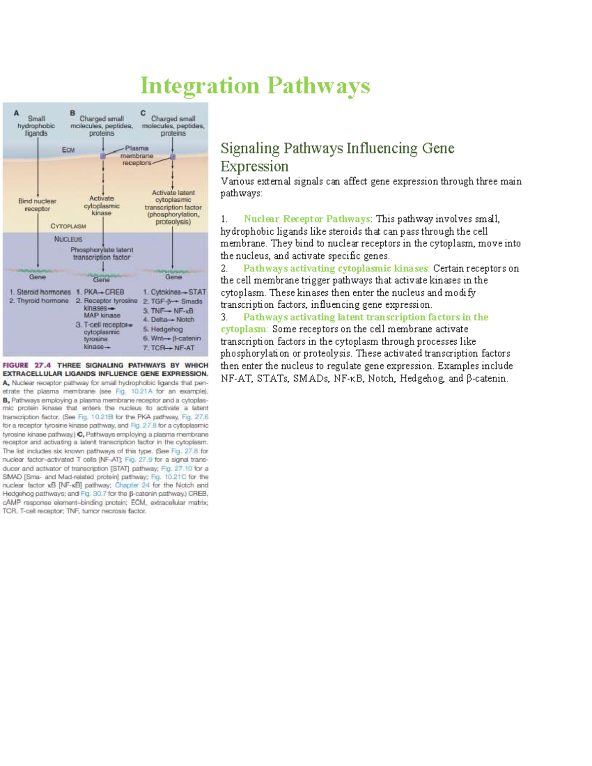 Tip summaries - Summary Cellular and developmental physiology ...