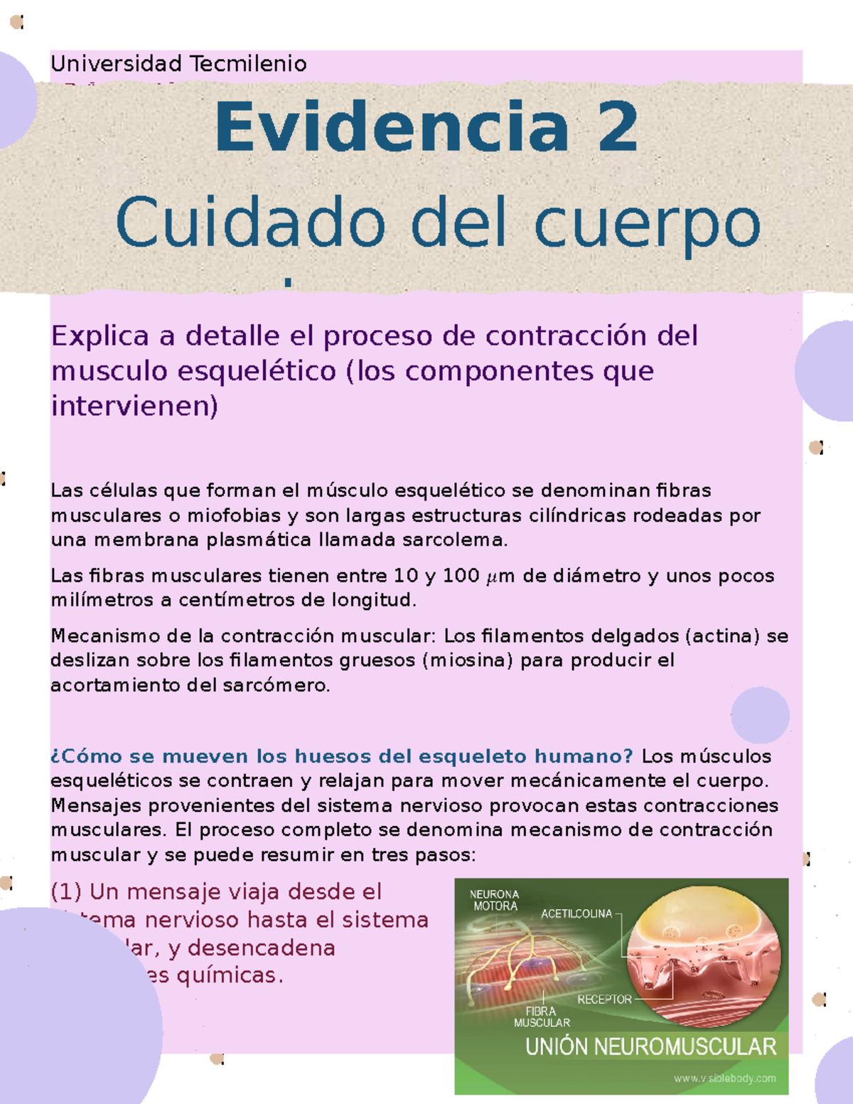 Parte 7 Evidencia 2 cuerpo humano - El cuidado del cuerpo humano - TecMilenio - Studocu