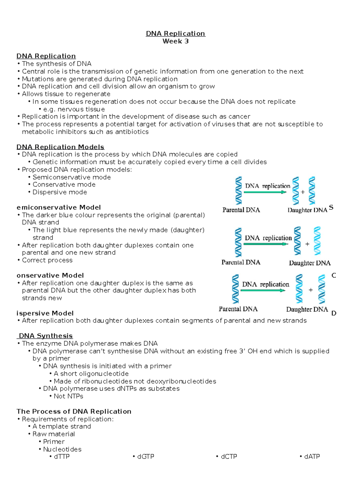 Wk 3 DNA Replication - LECTURE NOTES FOR WEEK 3 - DNA Replication Week ...
