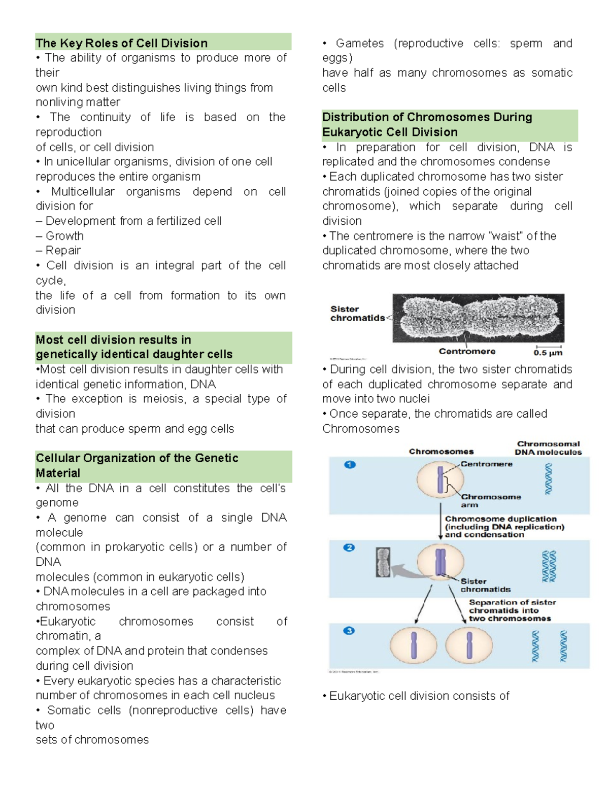 CELL Cycle AND Mitosis - Note for biology - The Key Roles of Cell ...