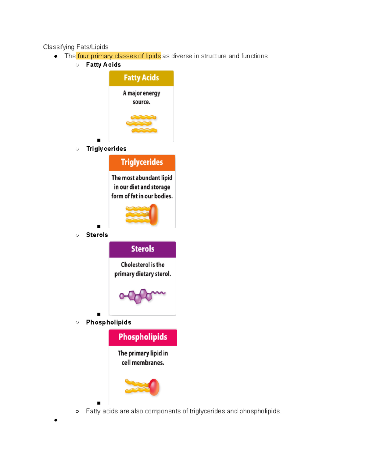 Classifying Fats Lipids - Classifying Fats/Lipids The four primary ...
