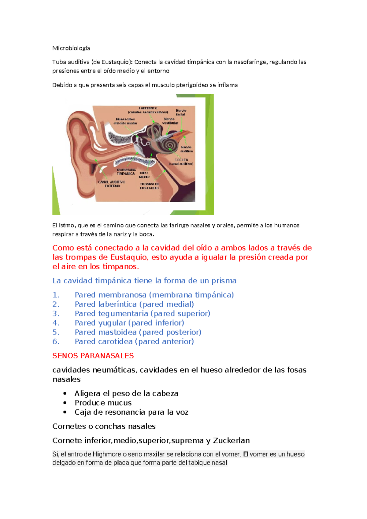 Cuaderno de anatomia - Microbiología Tuba auditiva (de Eustaquio ...